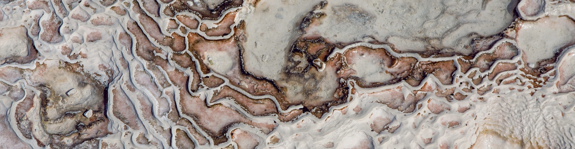 Our History | Lindsell Train