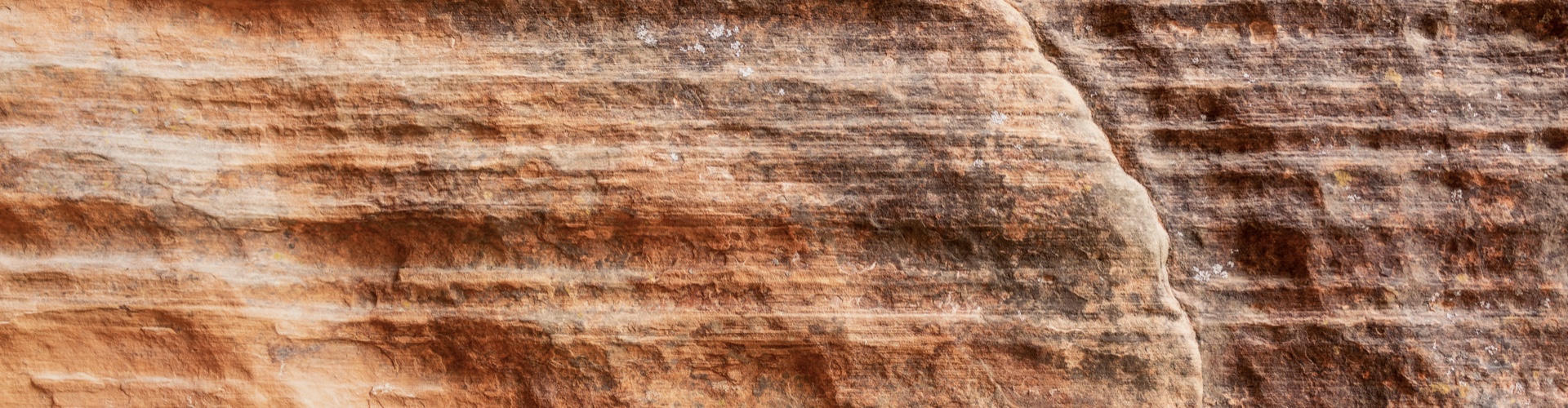 Annual Update | Lindsell Train